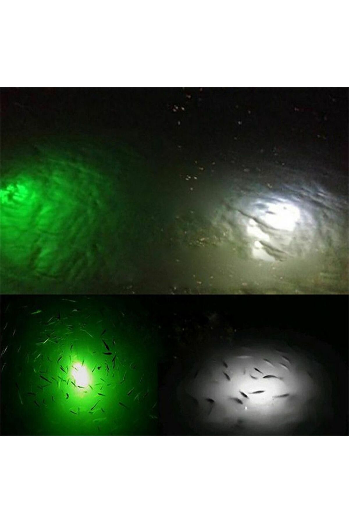 Eye Light V1-uwl Green